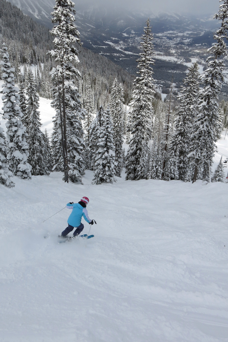 Fernie Review - Ski North America's Best 100+ Resorts