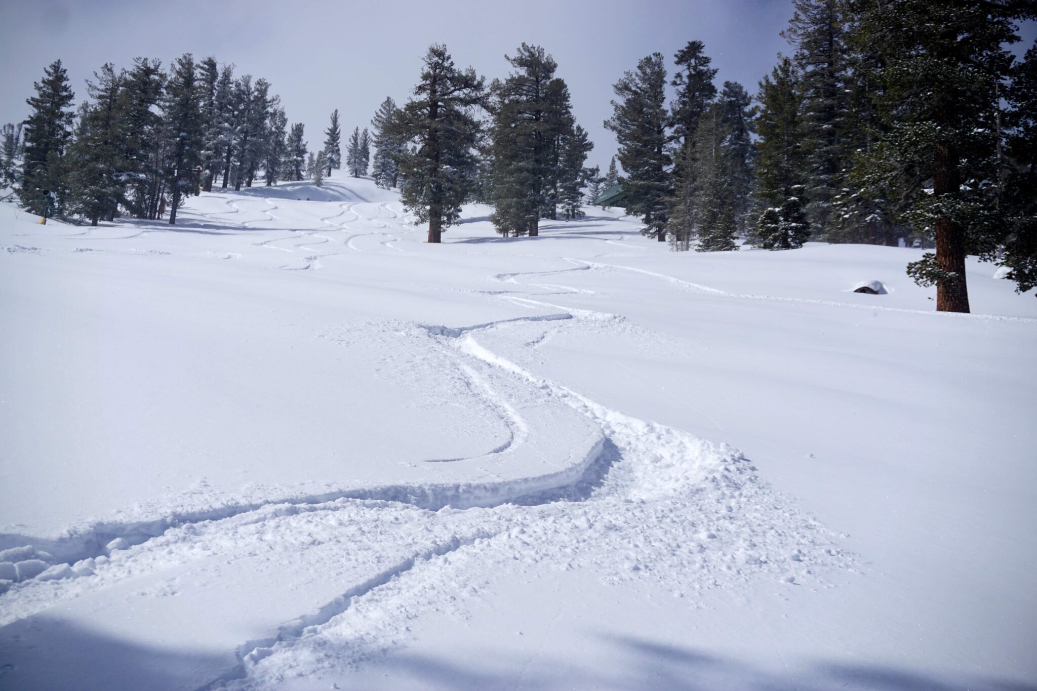 Resorts ranked by snowfall - Ski North America's Best 100+ Resorts